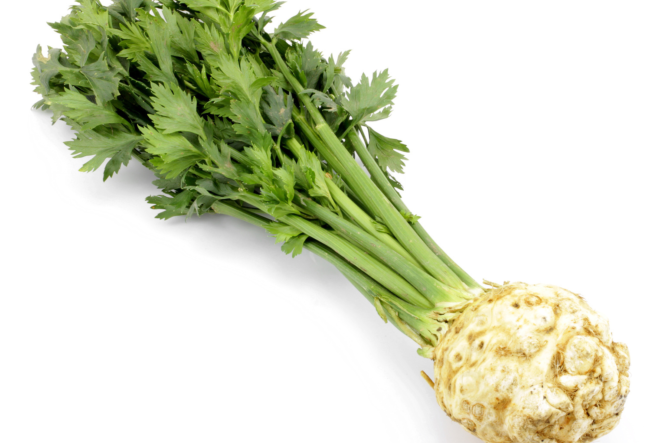Sellerie - Vitamin Garten